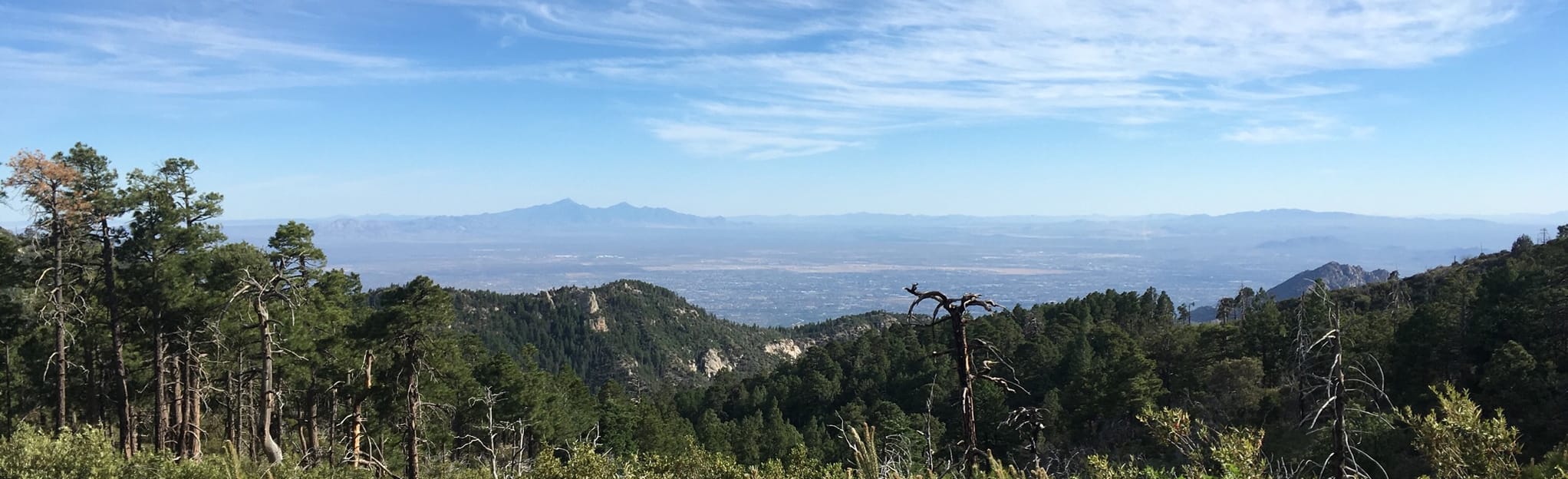 Aspen Trail and Marshall Gulch Loop Trail, Arizona - 2,772 Reviews, Map ...