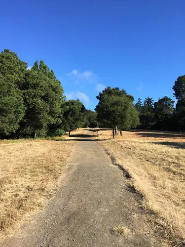 10 Best Hikes and Trails in Wunderlich County Park | AllTrails