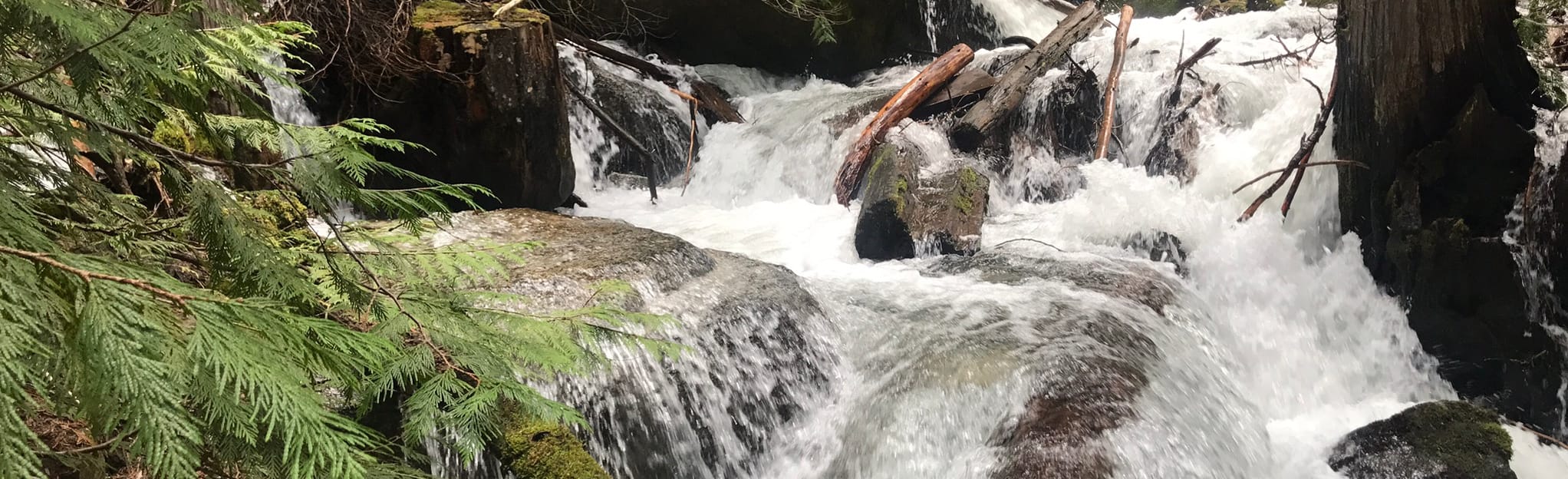 Silver Falls Trail: 325 Fotos - Washington | AllTrails