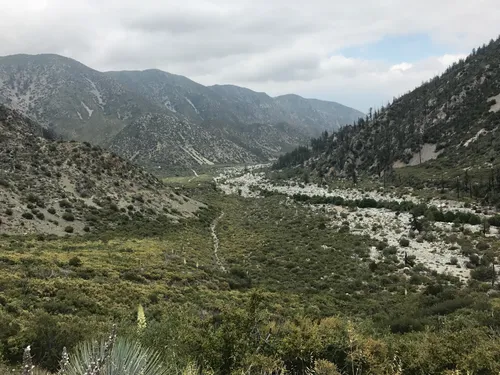 10 Best Trails and Hikes in Lytle Creek | AllTrails
