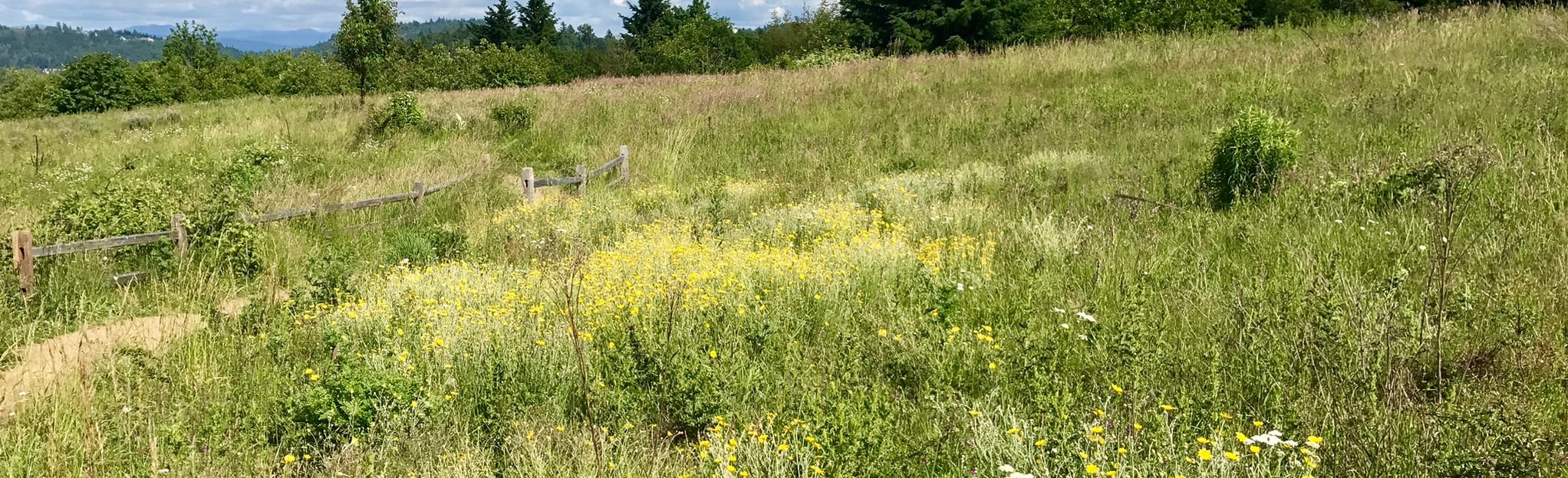 Powell Butte via Meadowland Lane, Oregon - 590 Reviews, Map | AllTrails