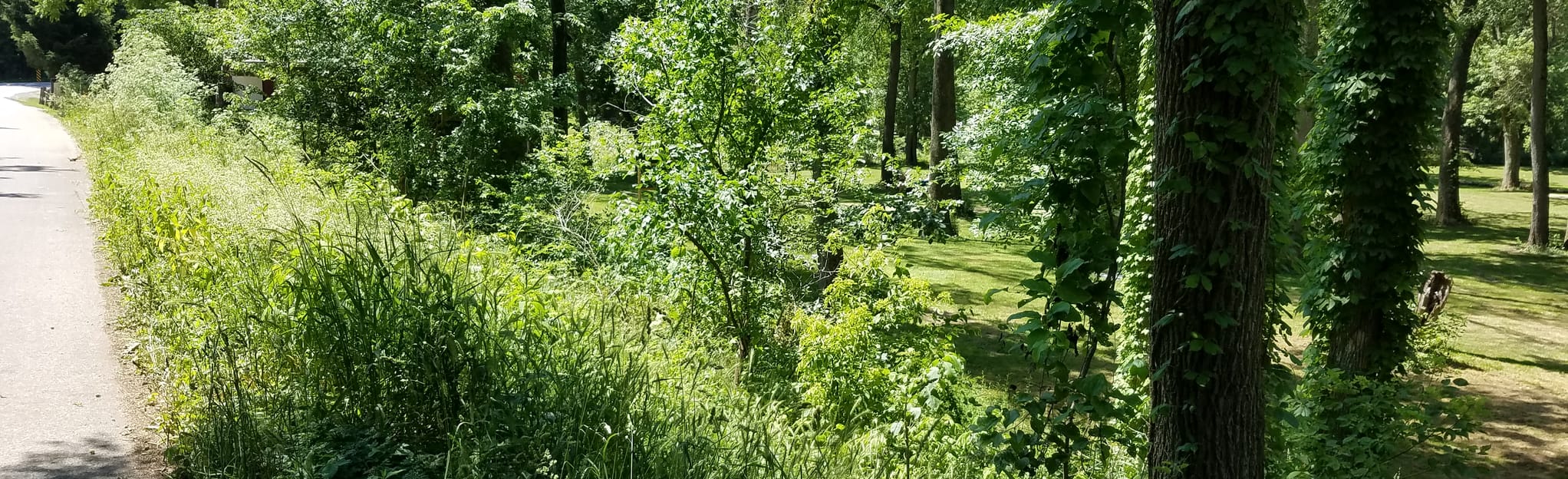 Adams Mill Trail, Indiana - 54 Reviews, Map | AllTrails