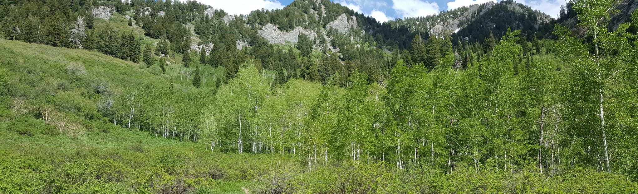 Neffs Canyon Trail, Utah - 1,904 Reviews, Map | AllTrails