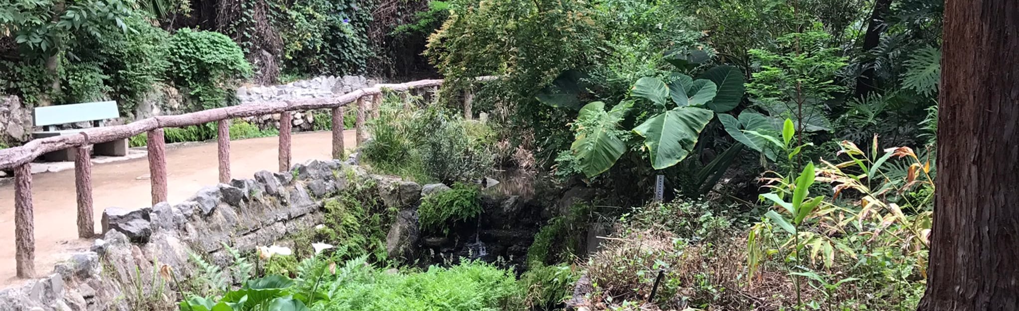 Ferndell to the West Observatory Loop Trail to Griffith Observatory ...