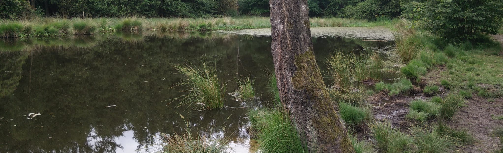 Wandelroute Ronde Huis, Gelderland, Netherlands - 28 Reviews, Map ...