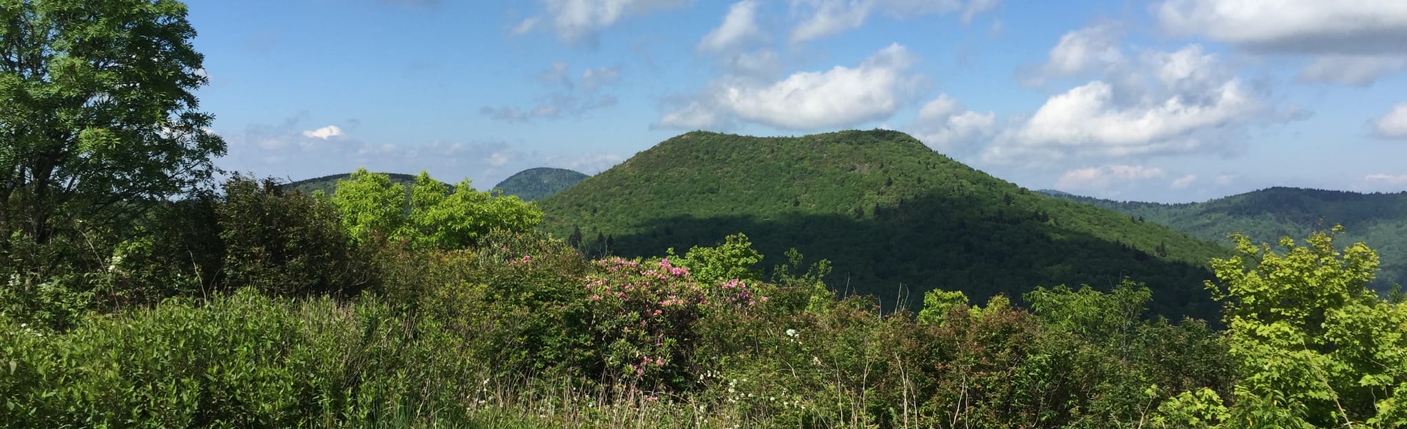 Black Balsam Knob and Tennent Mountain Loop via Art Loeb Trail - North ...
