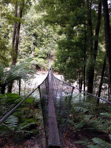 Best 10 Trails and Hikes in Gisborne | AllTrails