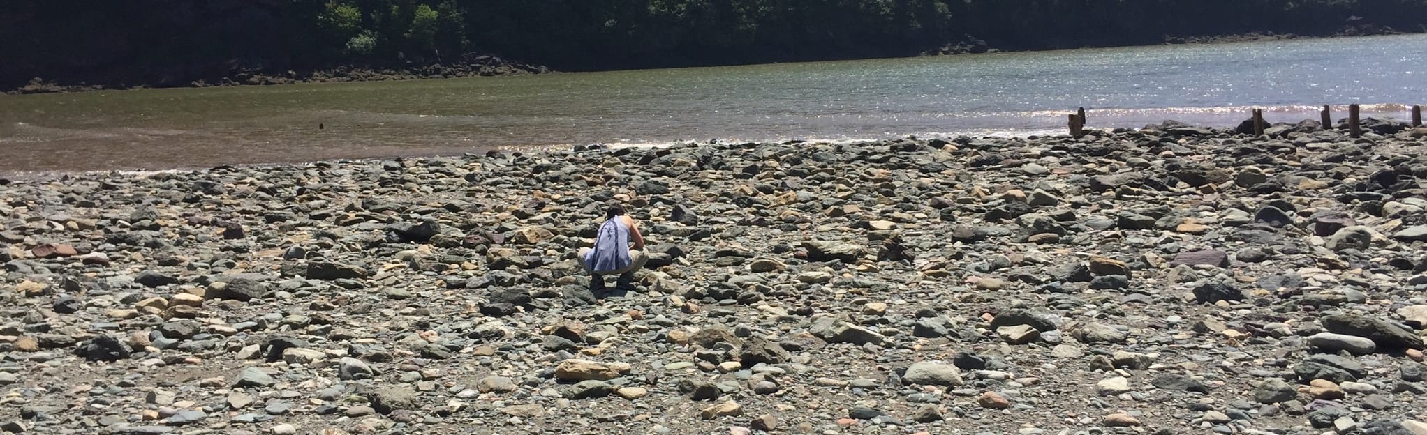 Point Wolfe Beach: 47 Reviews, 27 Photos, Map - New Brunswick, Canada ...