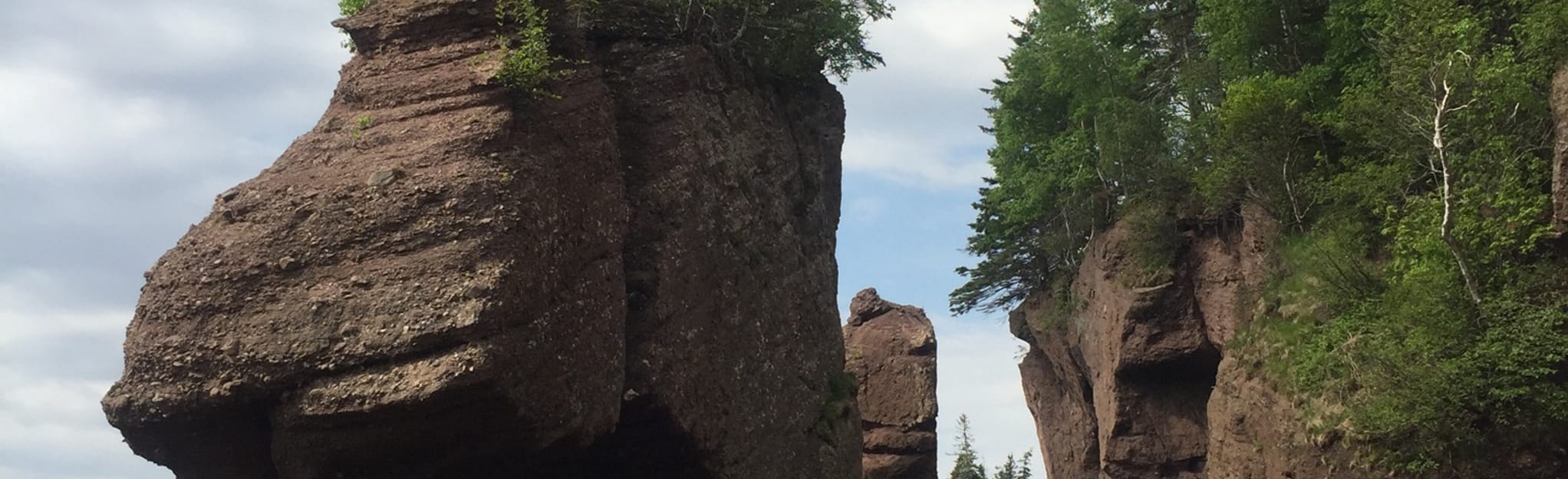 Hopewell Rocks, New Brunswick, Canada - 59 Reviews, Map | AllTrails