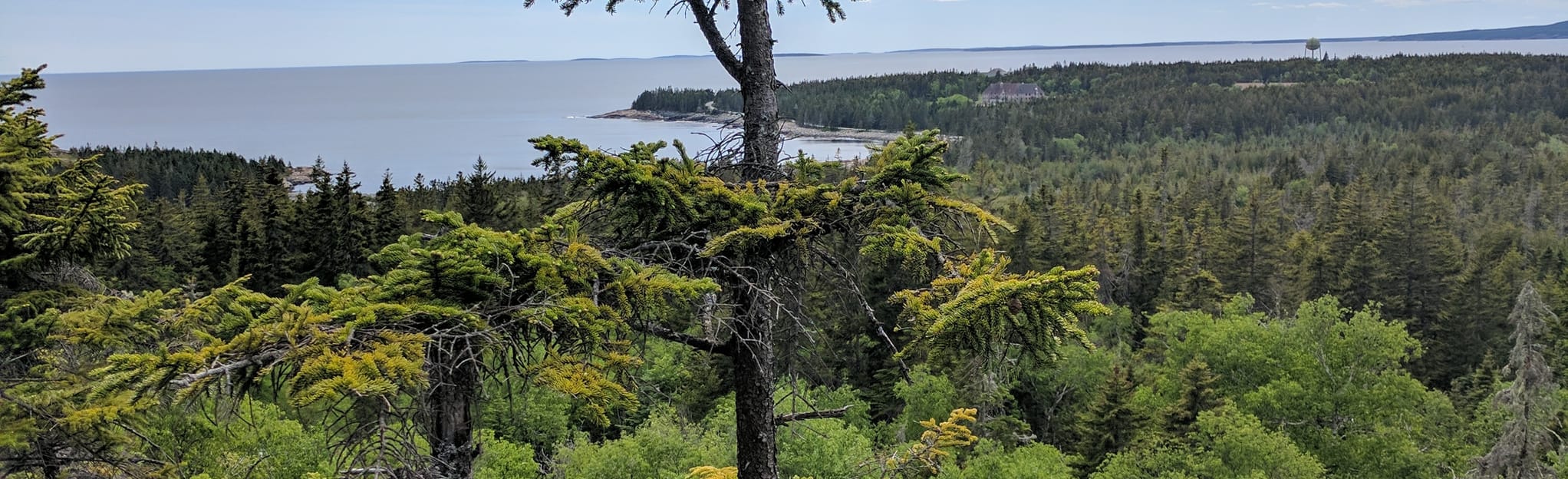 Schoodic Head Overlook and The Anvil Loop Trail, Maine - 381 Reviews ...