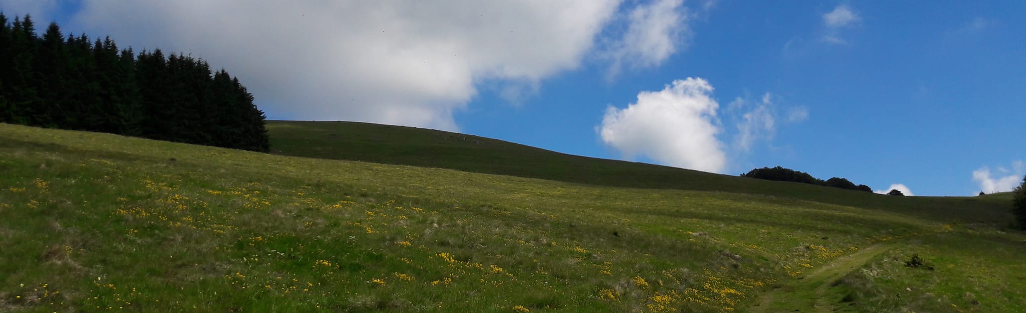 Petit Ballon Loop: 34 Reviews, Map - Haut-Rhin, France | AllTrails