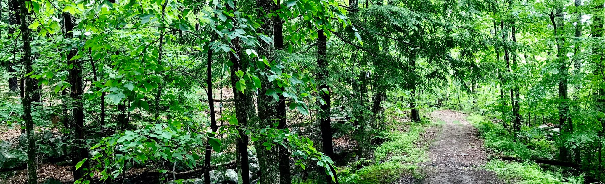 Sweet Trail: 537 Reviews, Map - New Hampshire | AllTrails