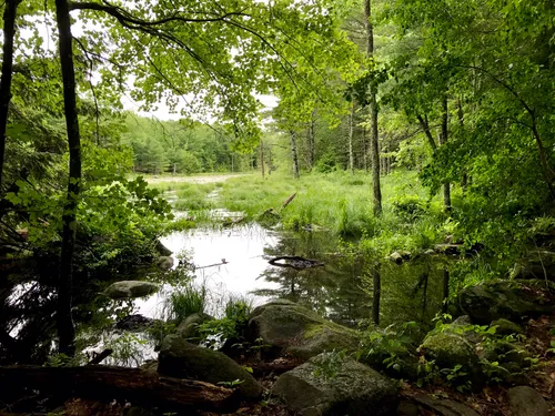 10 Best Trails and Hikes in Durham | AllTrails