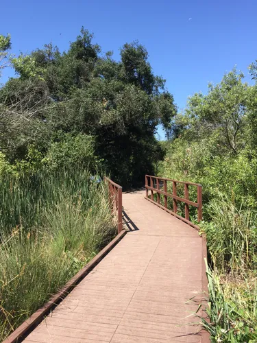 10 Best Trails and Hikes in Oceanside | AllTrails
