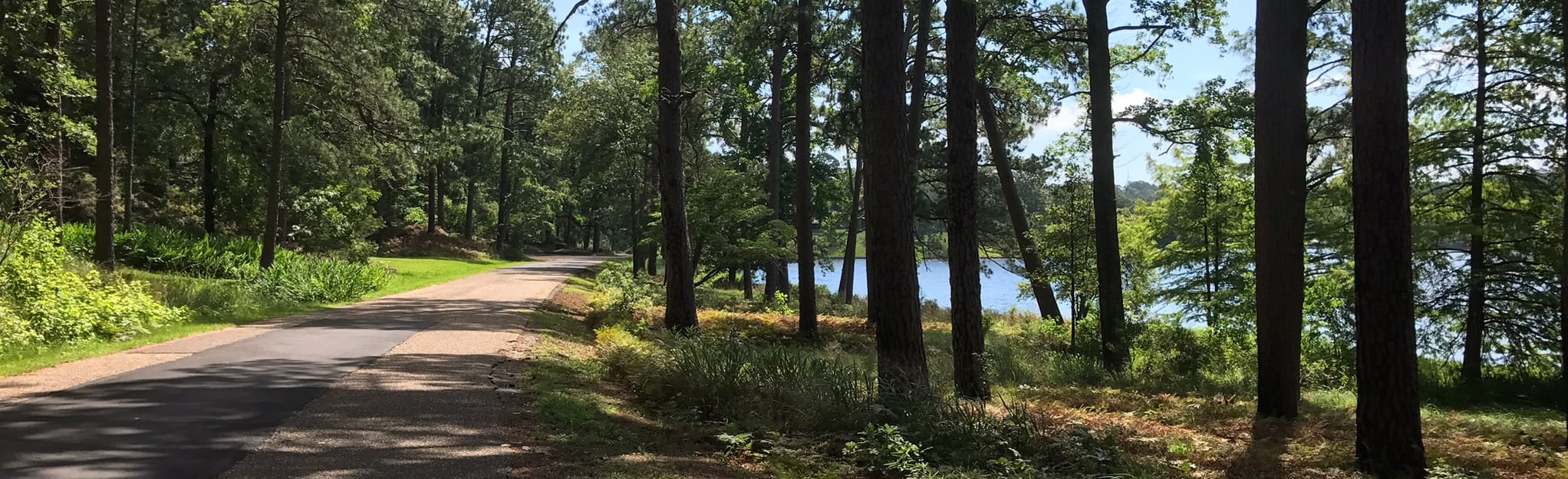 Hodges Gardens Loop [CLOSED] | Map, Guide - Louisiana | AllTrails