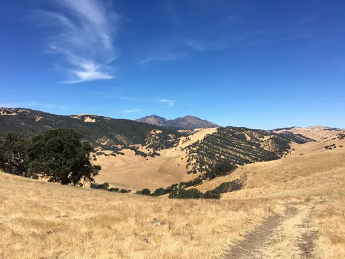 Best Hikes and Trails in Round Valley Regional Preserve | AllTrails
