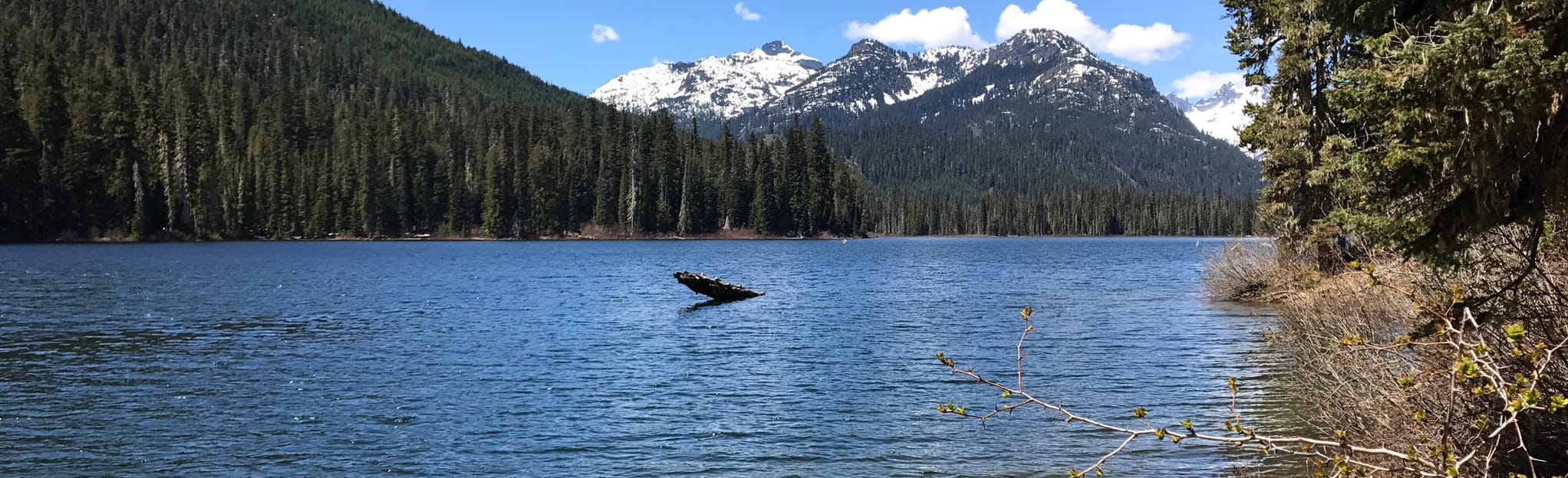 Owhi Campground Trail, Washington - 20 Reviews, Map | AllTrails