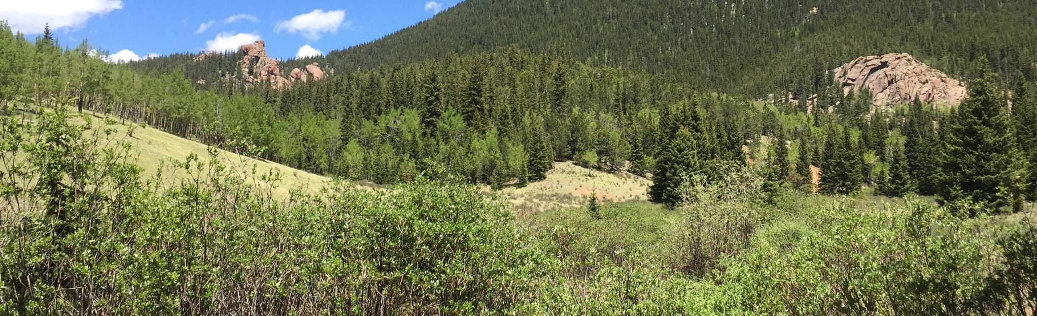 Sentinel Point via Horsethief Trail, Colorado - 18 Reviews, Map | AllTrails