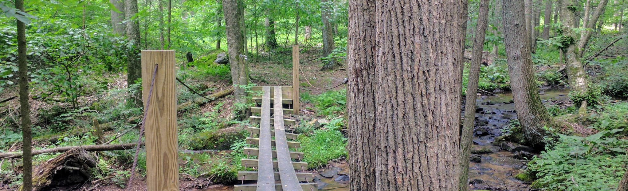 Nature Trail and Swamp Creek Trails Loop, Pennsylvania - 89 Reviews ...