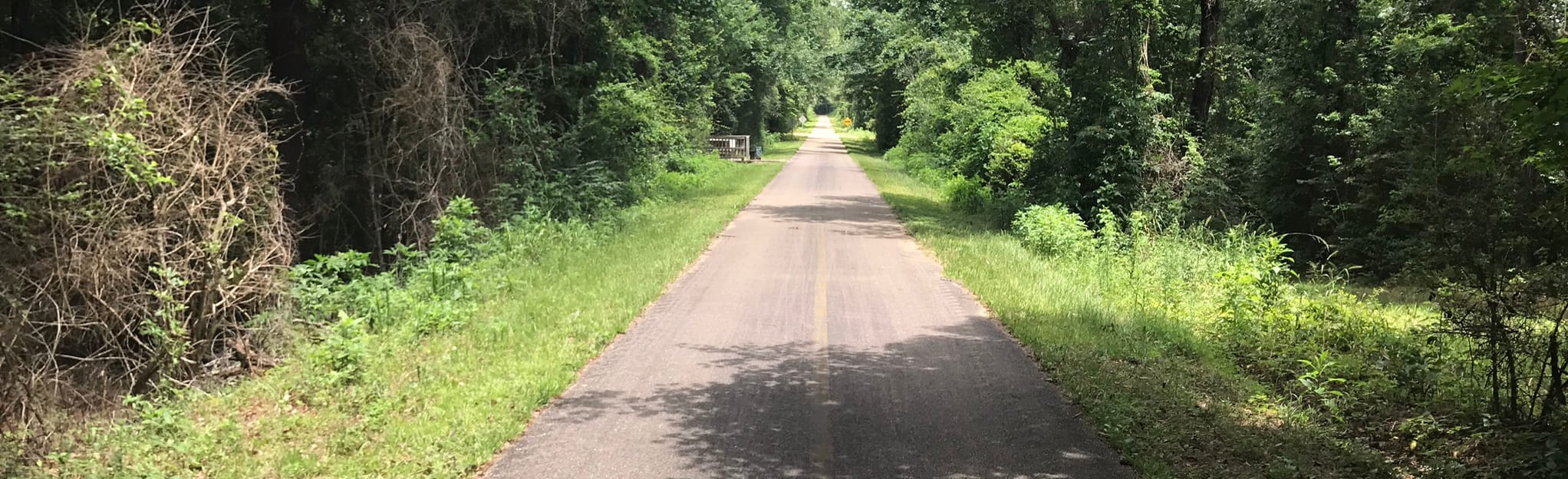 Longleaf Trace Trail: 277 Reviews, Map - Mississippi | AllTrails