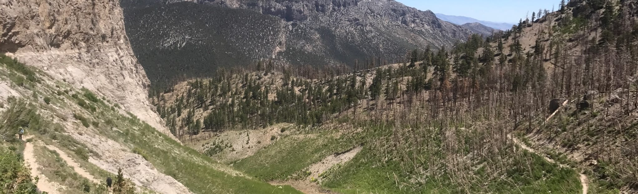 Griffith Peak via South Loop Trail - Nevada | AllTrails