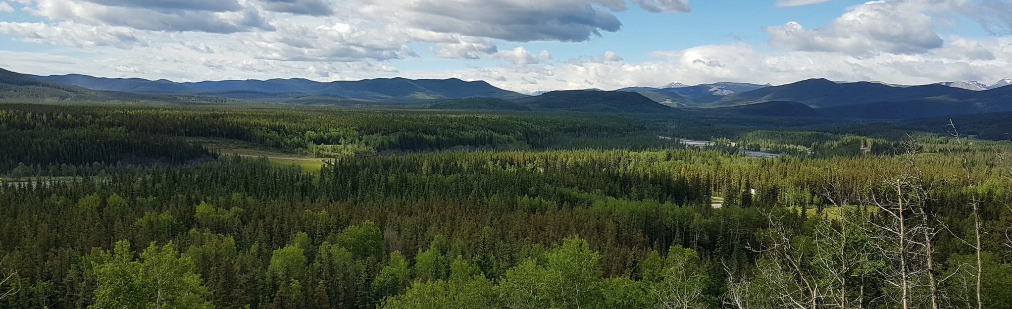 Fullerton, Bobcat, Strange Brew, Boundary Ridge and Snagmore Loop ...