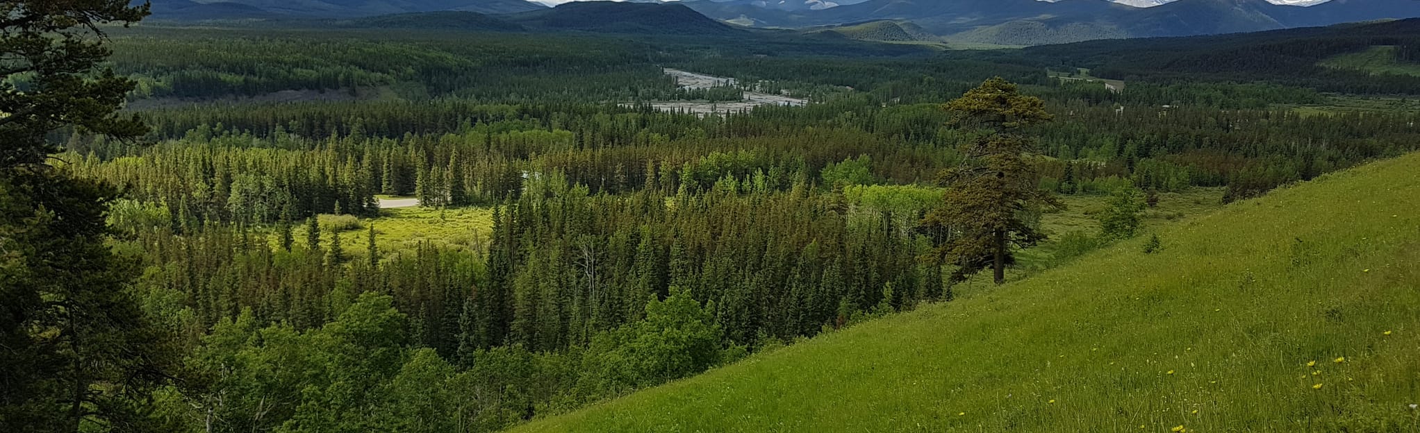Fullerton Loop Trail, Alberta, Canada - 3,775 Reviews, Map | AllTrails