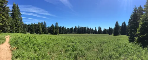 10 Best Dog Friendly Trails in Oregon | AllTrails