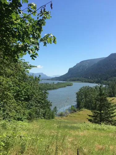 Best Hikes and Trails in Rooster Rock State Park | AllTrails