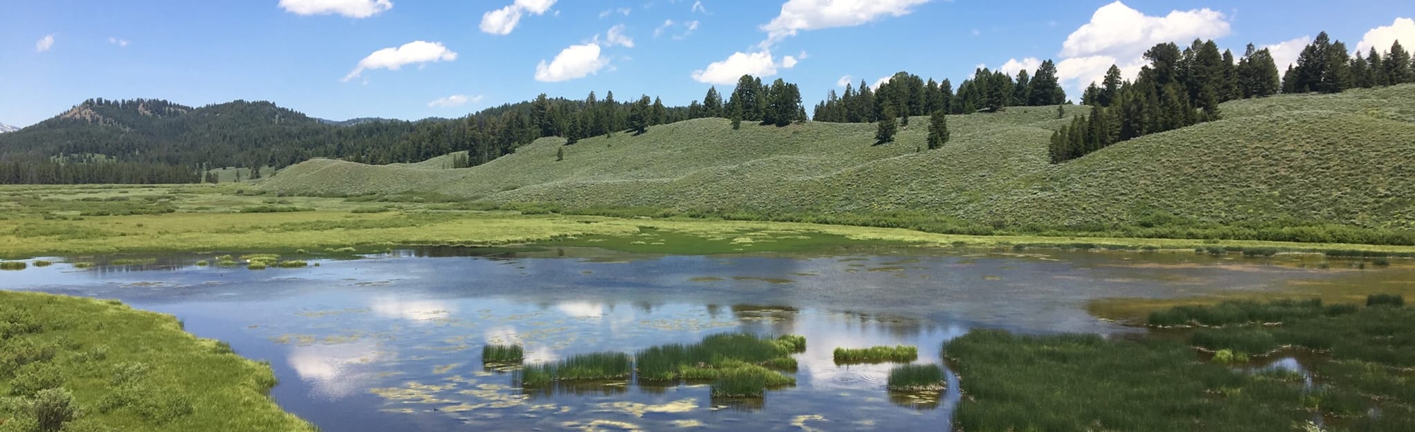 Christian Pond Trail, Wyoming - 231 Reviews, Map | AllTrails