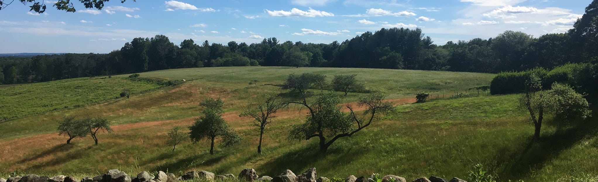 Old Prospect Road to Ward Trail Loop, Massachusetts - 386 Reviews, Map ...