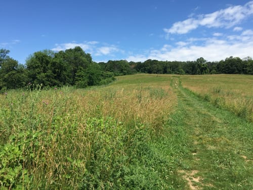 Best 10 Hikes and Trails in Sky Meadows State Park | AllTrails