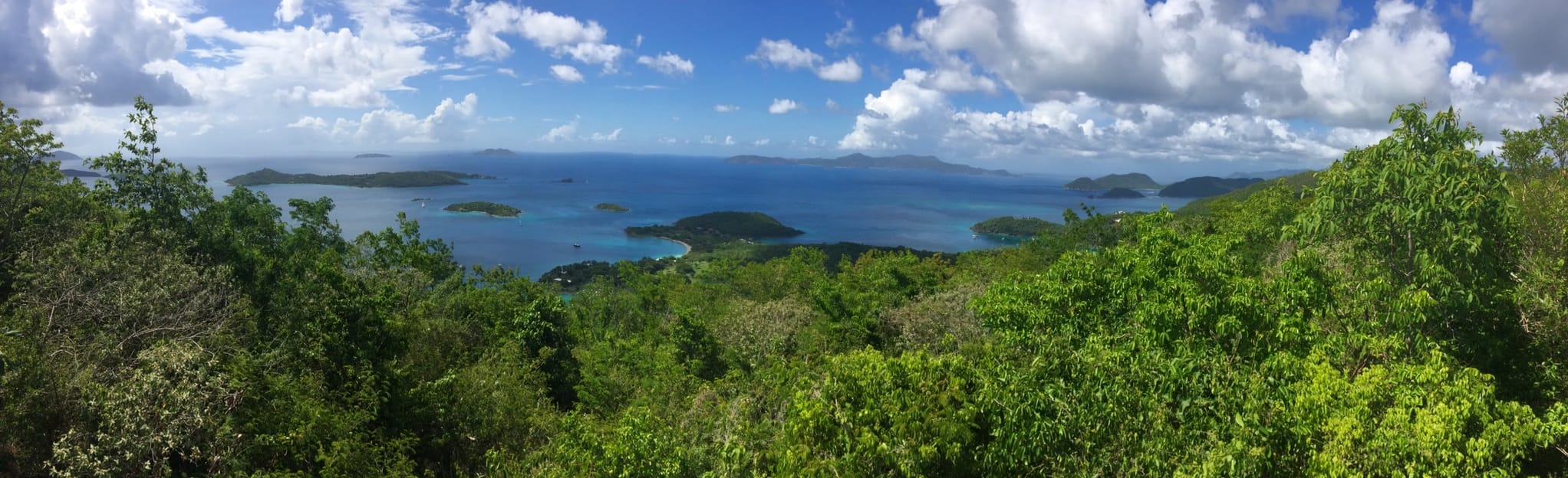 Caneel Hill Trail - Saint John, US Virgin Islands | AllTrails