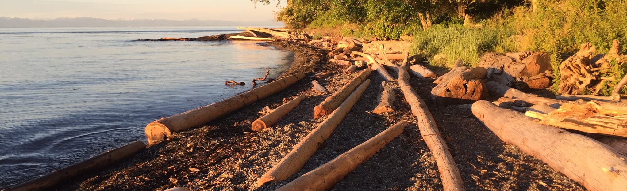 Pebble Beach Loop, British Columbia, Canada - 73 Reviews, Map | AllTrails