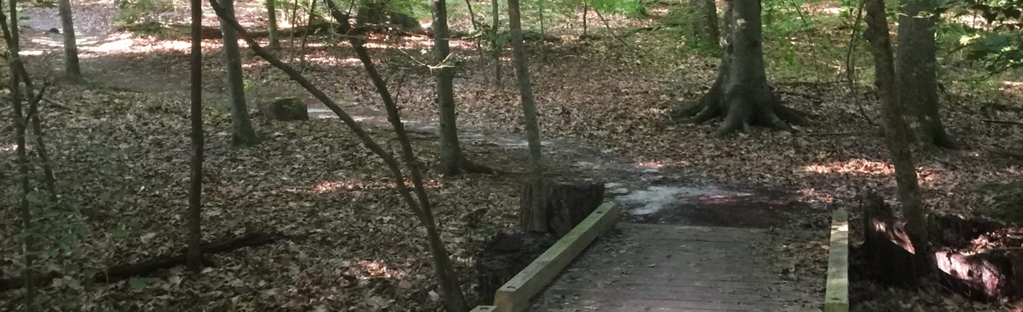 Cold Harbor Battlefield Gold Trail, Virginia - 582 Reviews, Map | AllTrails