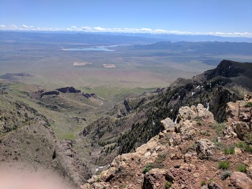 2023 Best Wild Flowers Trails in Oak City | AllTrails