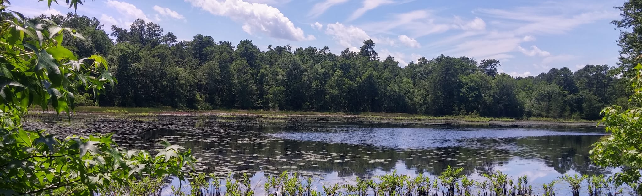 Peaceful Partners, Bog and Long Path Trail: 291 Reviews, Map - New ...