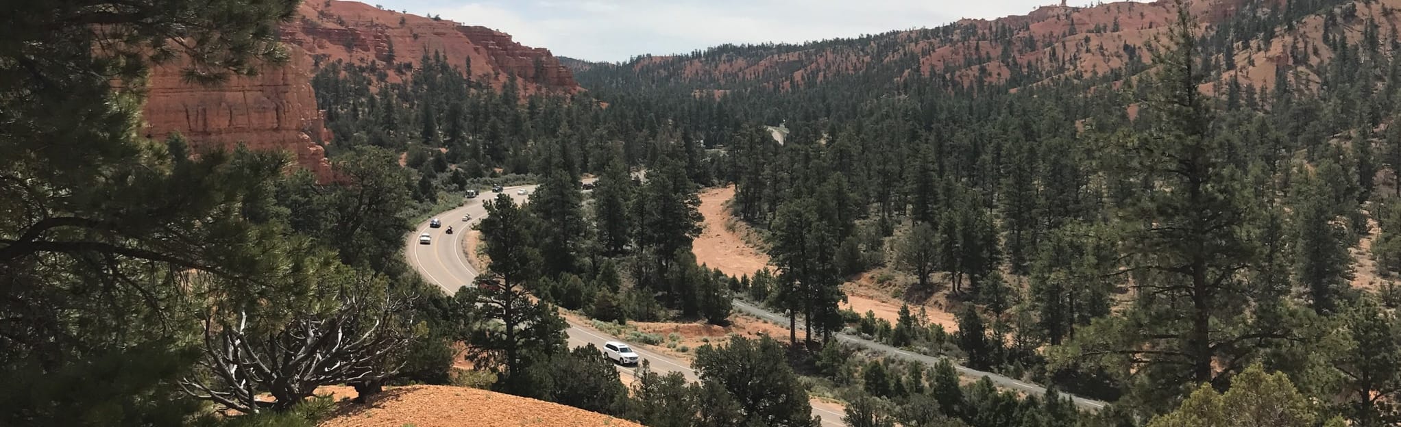 Bird's Eye Trail, Utah - 186 Reviews, Map | AllTrails