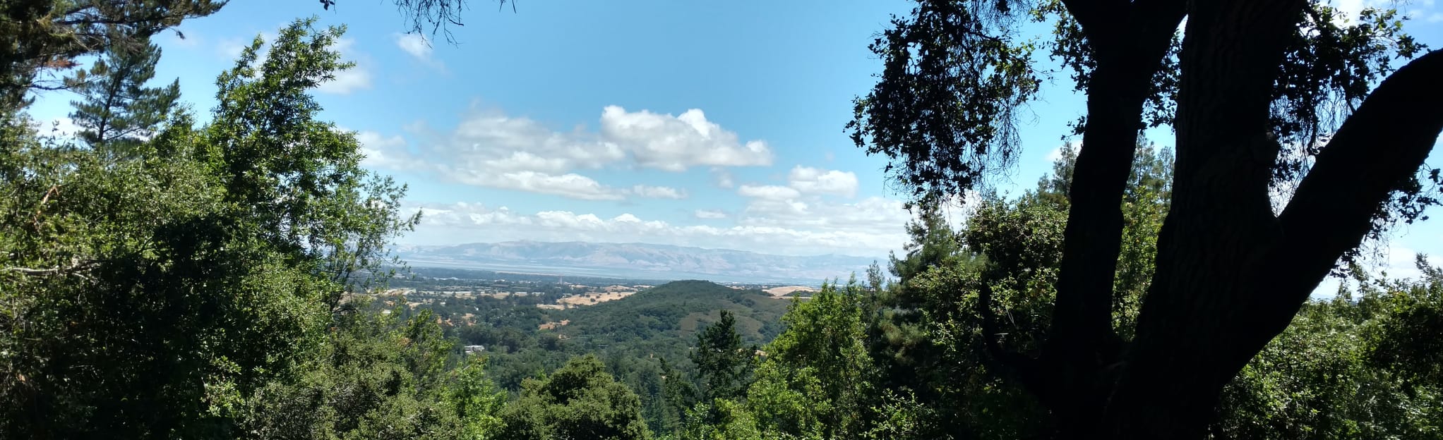 Alambique Trail, Loop Trail, Bear Gulch Trail, California - 246 Reviews ...