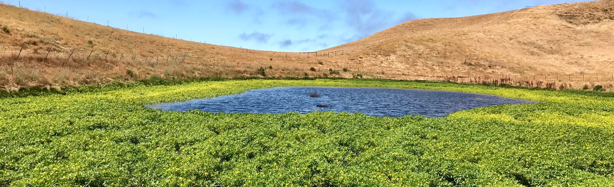 Alhambra Creek Trail, Spengler Trail, and Lagoon Trail Loop | Map ...