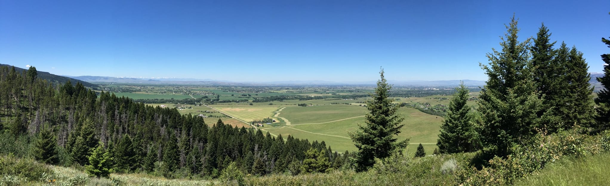 Triple Tree Trail, Montana - 1,046 Reviews, Map | AllTrails