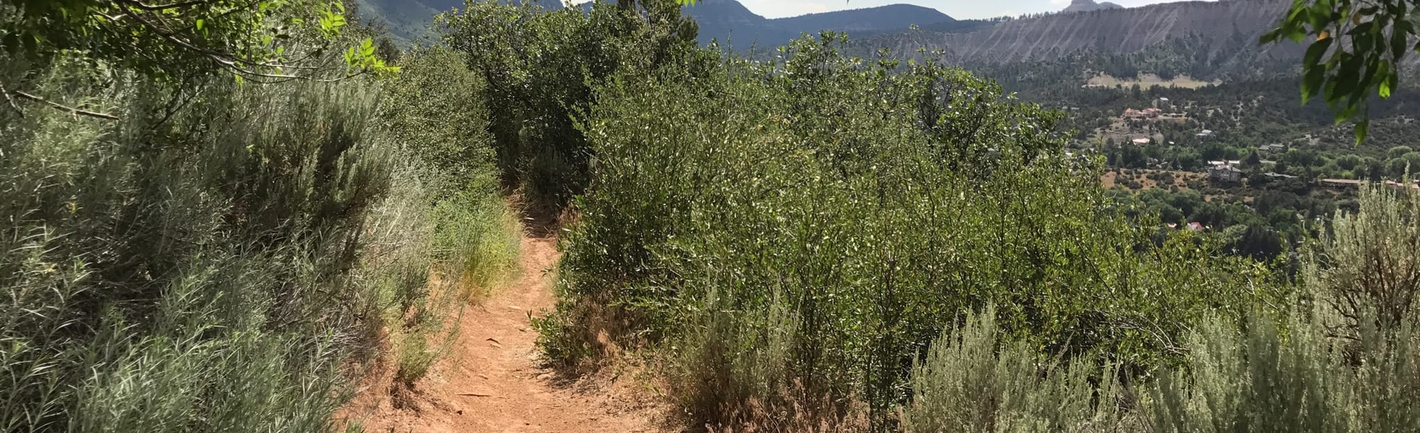Rim Trail, Lions Den Trail Loop: 76 Reviews, Map - Colorado | AllTrails