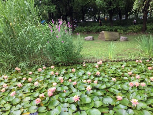 Best Hikes and Trails in Minhang Sports Park | AllTrails