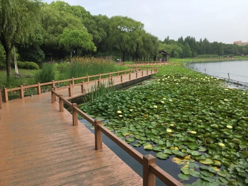 2023 Best 10 City Walk Trails in China | AllTrails