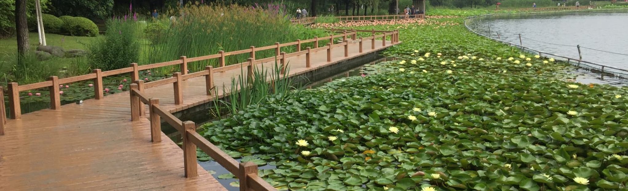 Minhang Sports Park Loop: 66 foto's - Shanghai, China | Wandelen ...