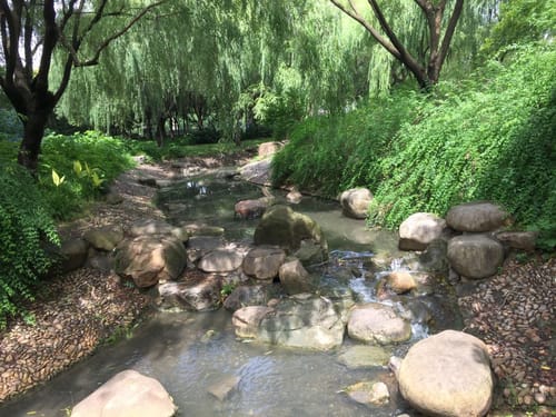 Best Hikes and Trails in Minhang Sports Park | AllTrails