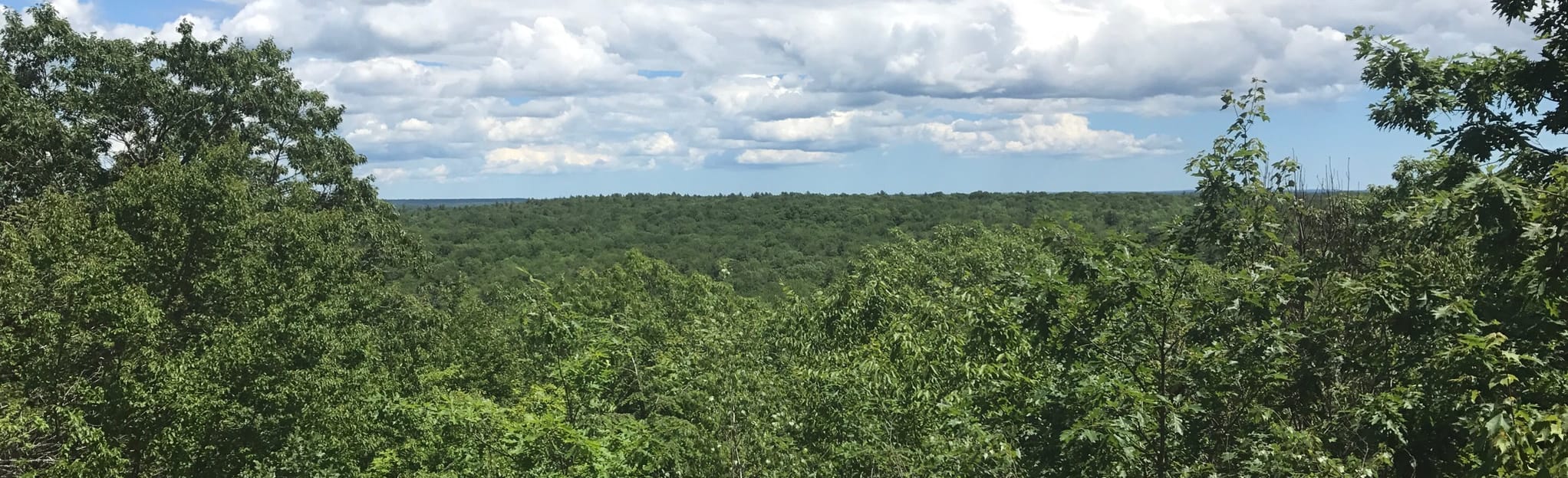 Northern Loop and Bluff Trail Loop, Maine - 86 Reviews, Map | AllTrails