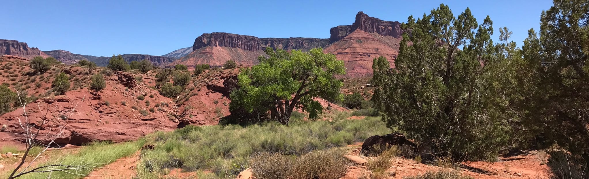 Professor Creek and Mary Jane Canyon Trail, Utah - 962 Reviews, Map ...