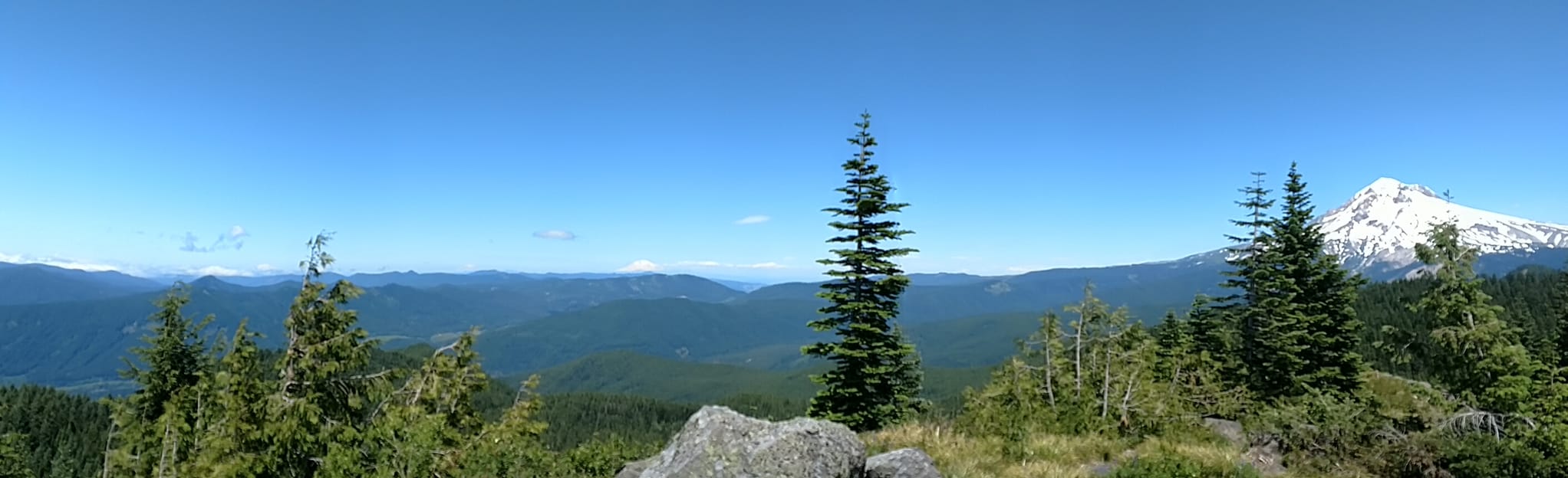 Zigzag Mountain Trail #775, Oregon - 62 Reviews, Map | AllTrails