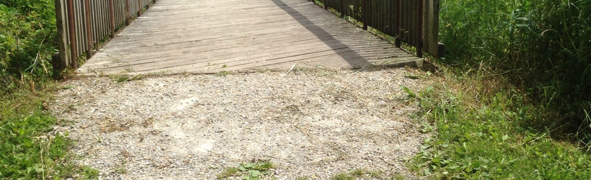 Casey Lake Trail: 10 Reviews, Map - Iowa | AllTrails